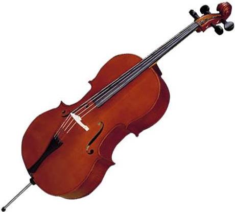 Strunal 40/7 3/4 | apothema.gr